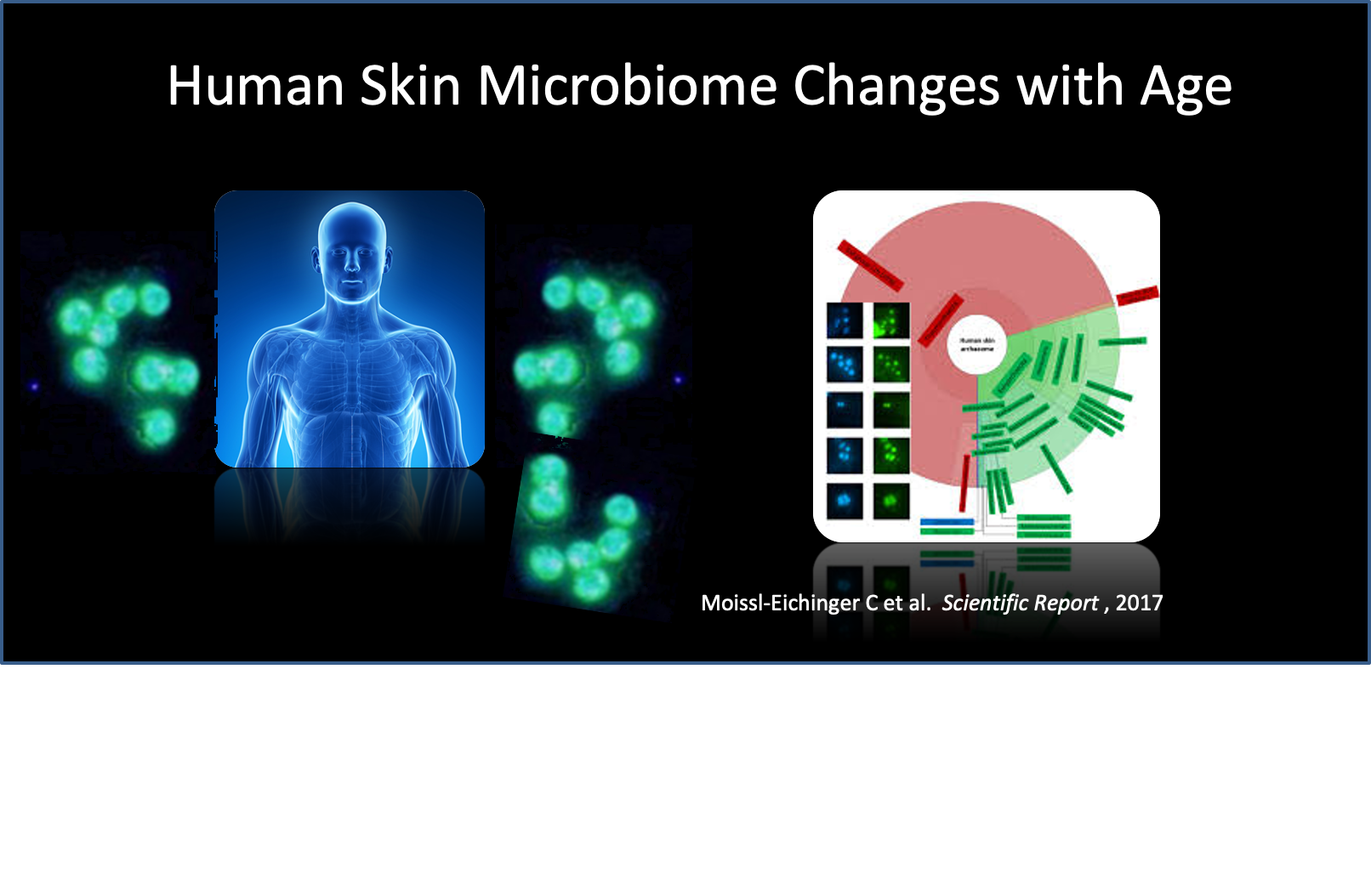 Human Skin Microbiome Changes with Age – BSISB